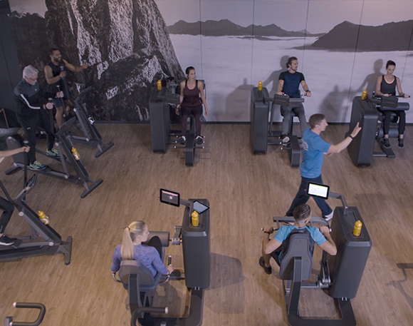 milon Coach - milongroup